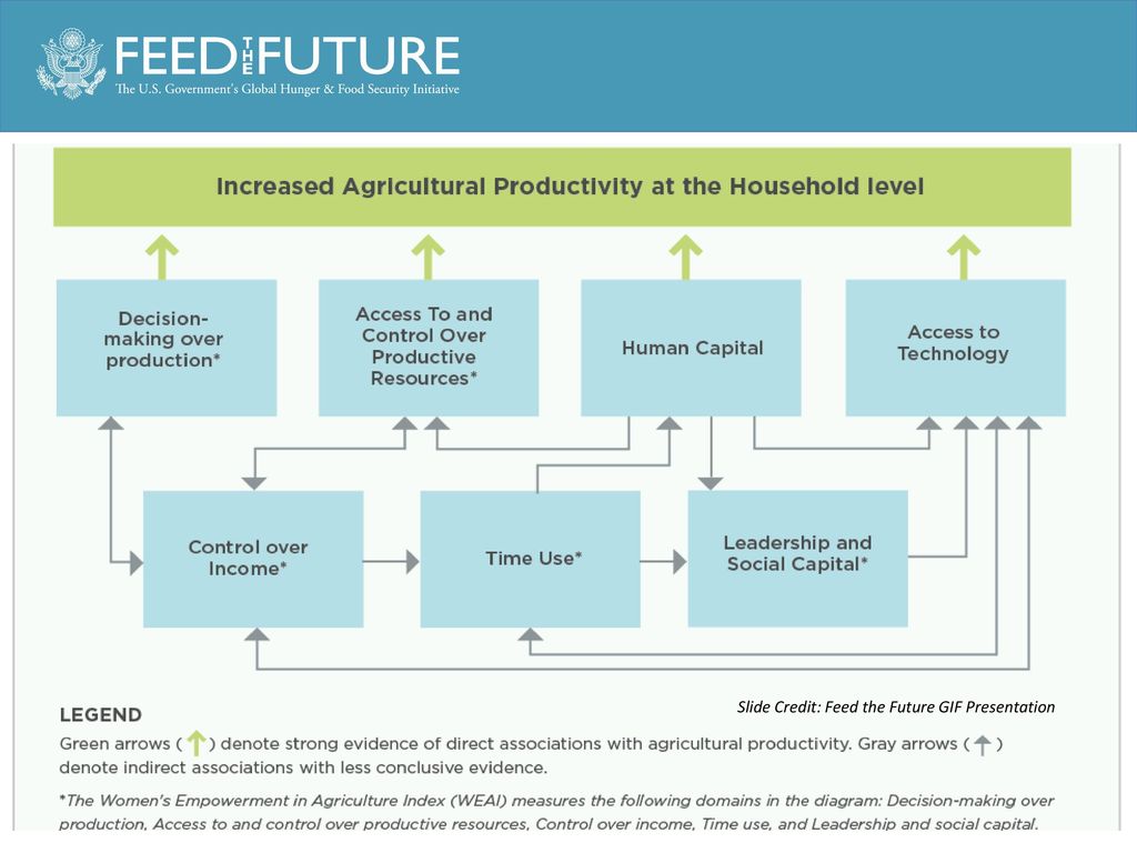 Tapping Irrigations Potential For Womens Empowerment Findings From