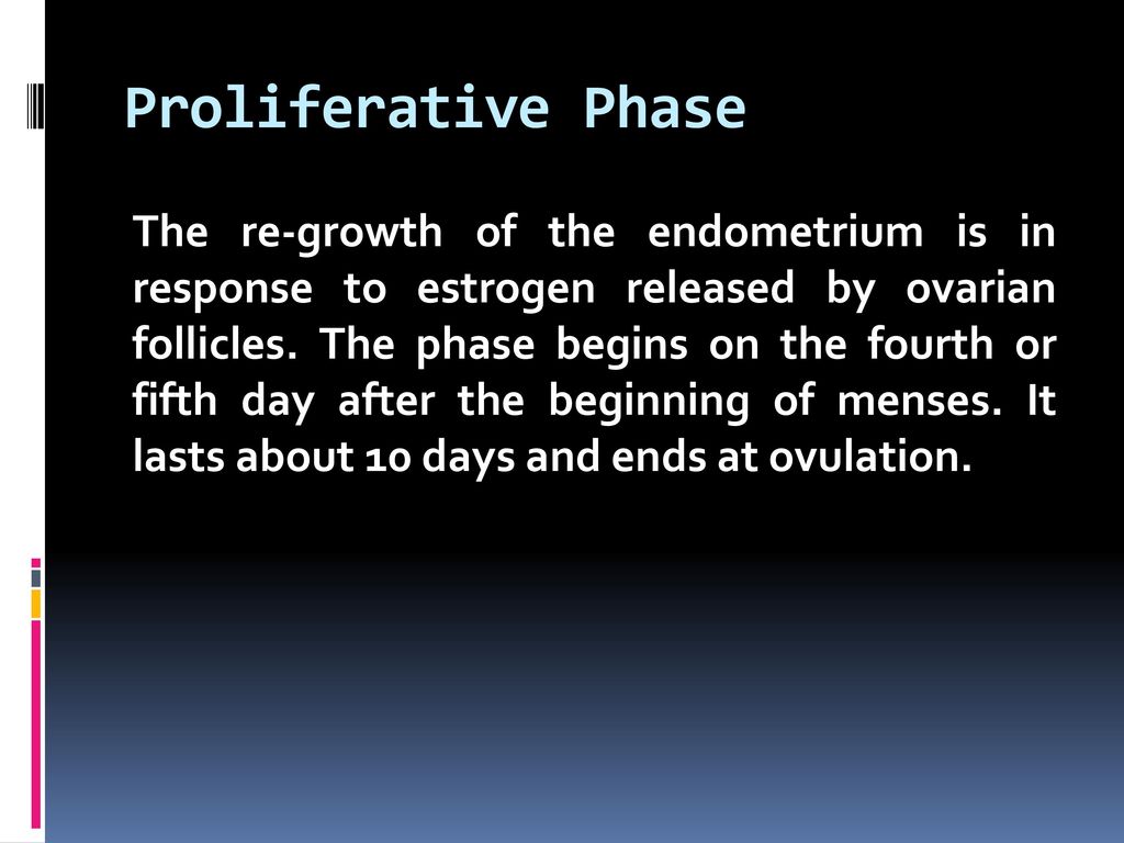 Ultrasound Of The Female Pelvis Ppt Download