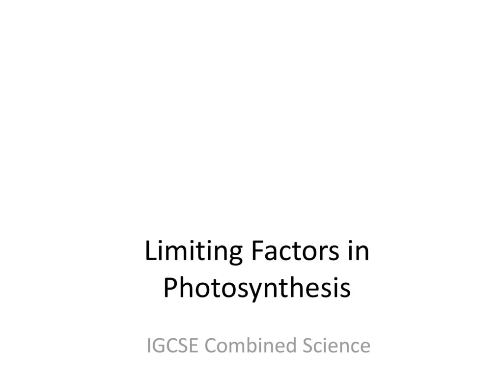 Limiting Factors In Photosynthesis Ppt Download