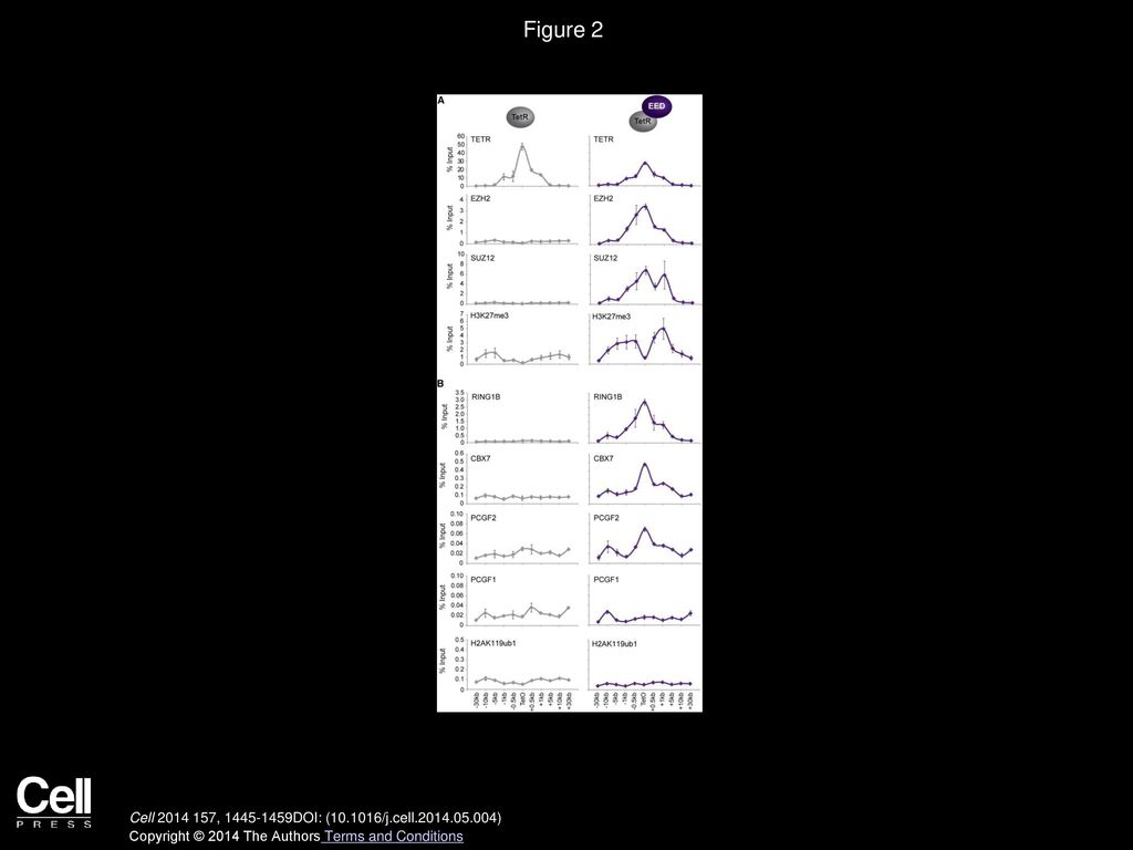 Volume 157, Issue 6, Pages (June 2014) - ppt download Volume 157, Issue 6, Pages (June 2014) - ppt download