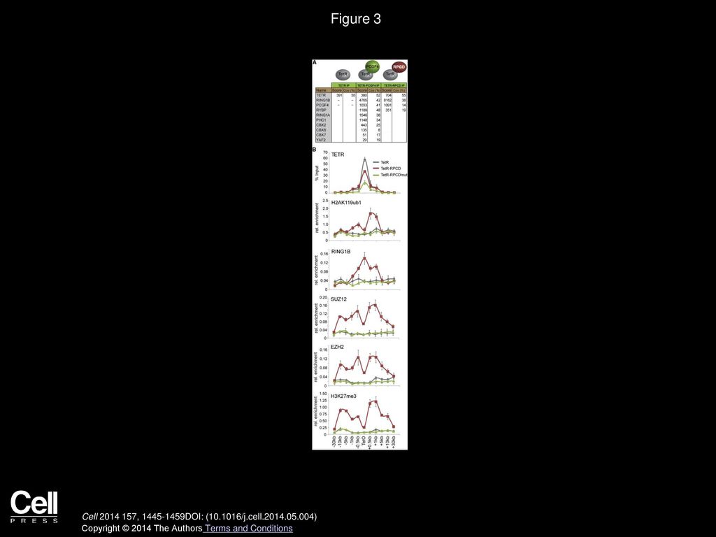 Volume 157, Issue 6, Pages (June 2014) - ppt download Volume 157, Issue 6, Pages (June 2014) - ppt download