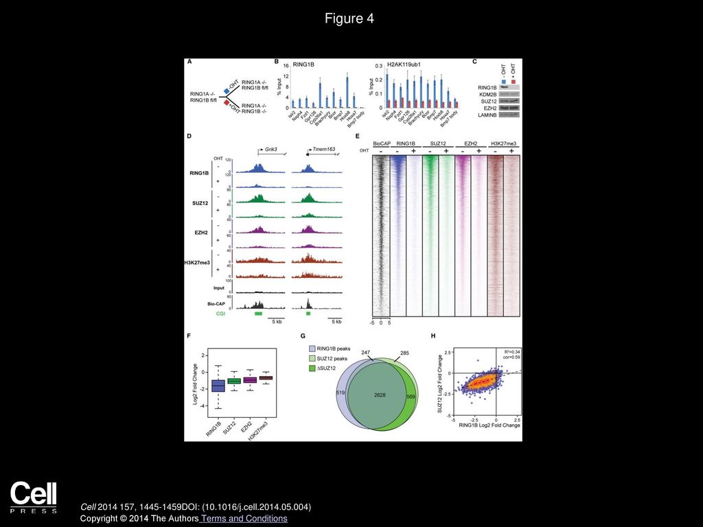 Volume 157, Issue 6, Pages (June 2014) - ppt download Volume 157, Issue 6, Pages (June 2014) - ppt download