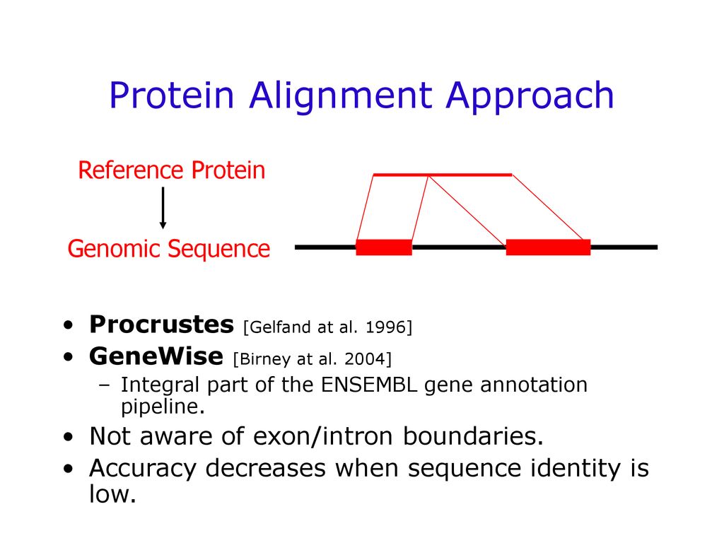 Computational Analyses Of Eukaryotic Gene Evolution Ppt Download