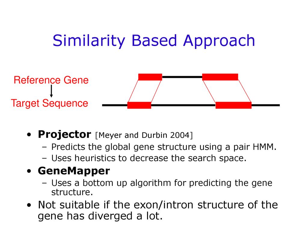 Computational Analyses Of Eukaryotic Gene Evolution Ppt Download