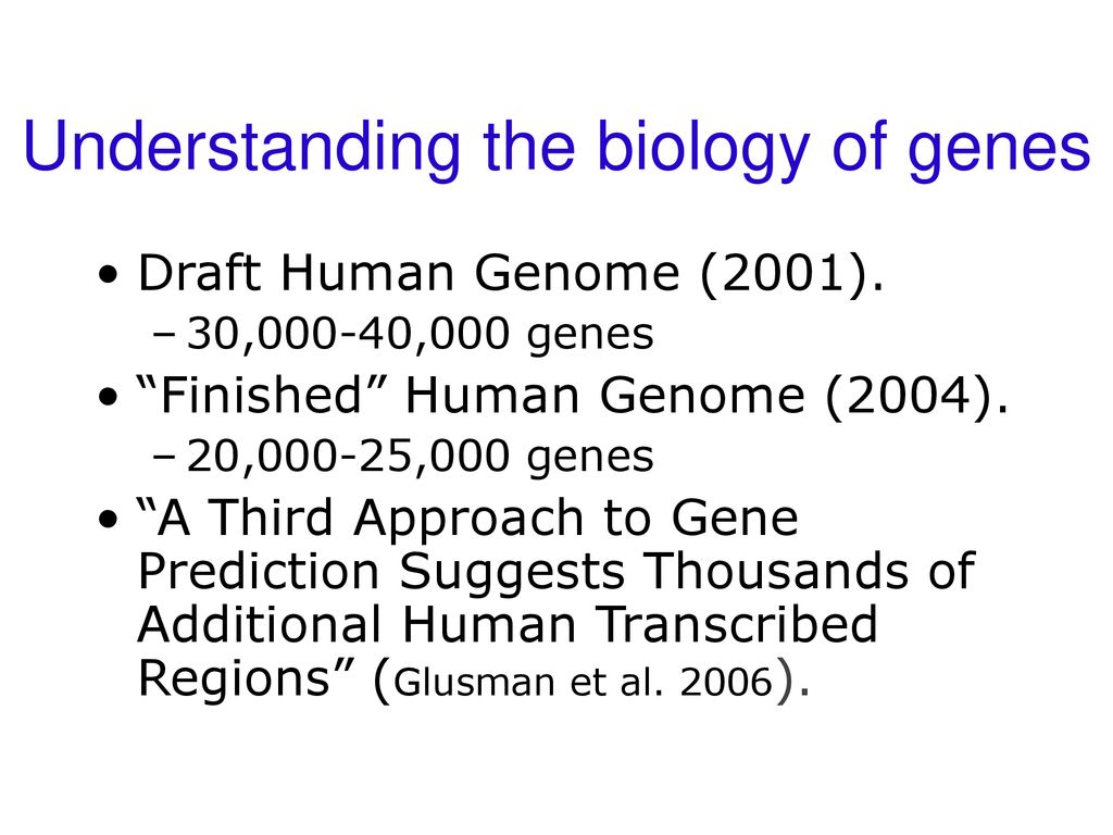 Computational Analyses Of Eukaryotic Gene Evolution Ppt Download