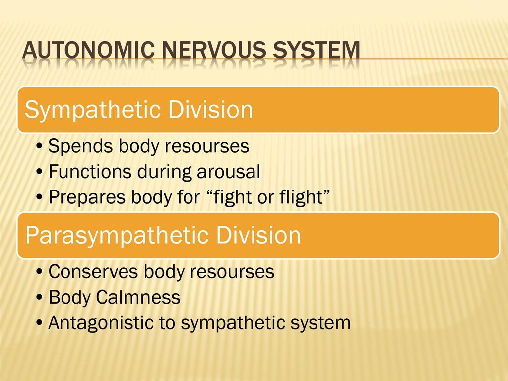 Nervous System Concepts Ppt Download