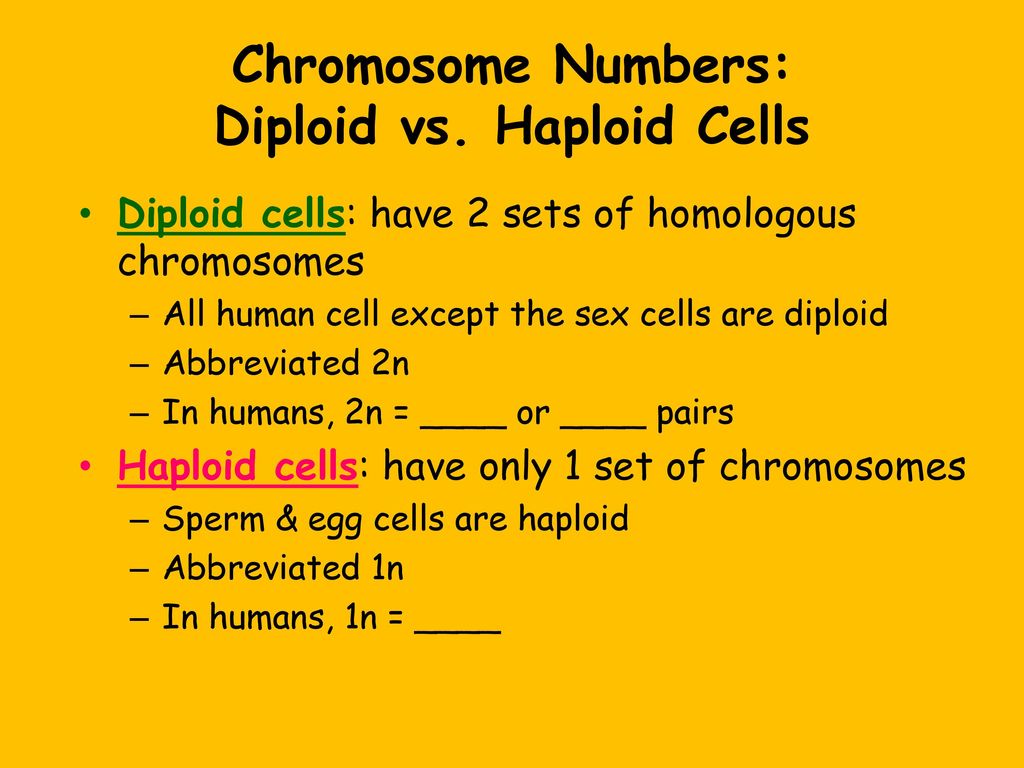 Cell Reproduction Unit Ppt Download
