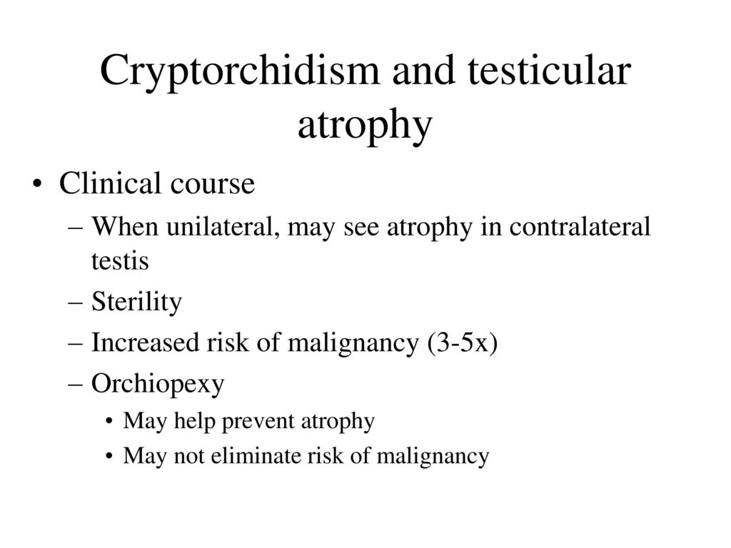 Male Genital System Ppt Download