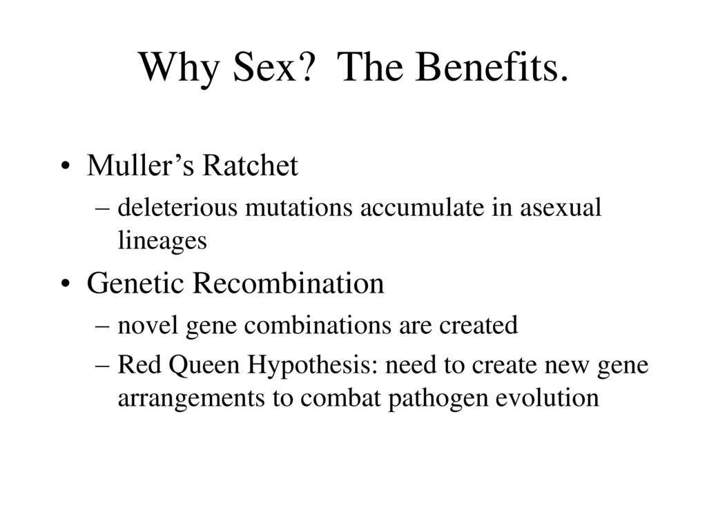 Sex And Sex Ratio What Is Sex Why Sex Ppt Download
