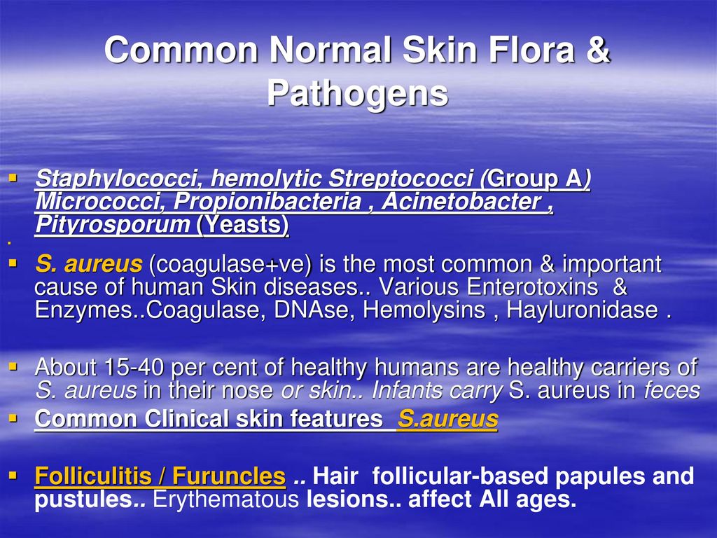 Bacterial And Fungal Skin Soft Tissue And Muscle Infections Ppt Download