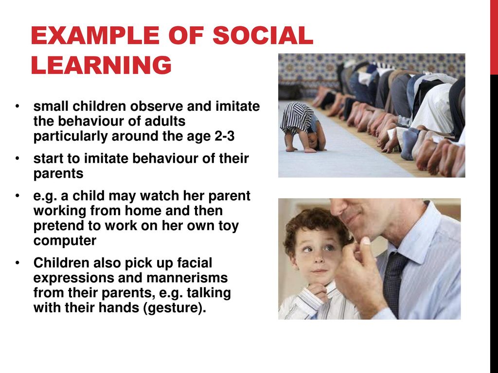 Social Learning Theory How Banduras Theory Works Atelier Yuwa Ciao Jp
