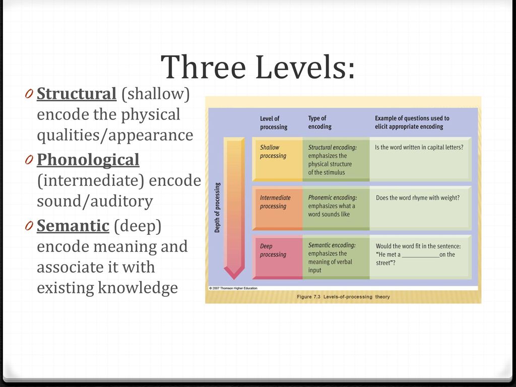 Medium = Elaborative Encoding. Introverts are writative (extraverts ... Medium = Elaborative Encoding. Introverts are writative (extraverts ...