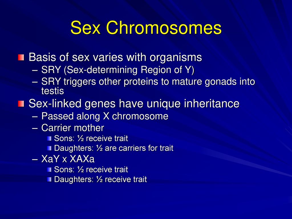 Ap Biology Crosby High School Ppt Download