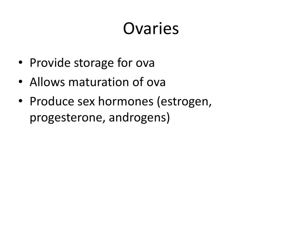 Female Reproductive System Ppt Download