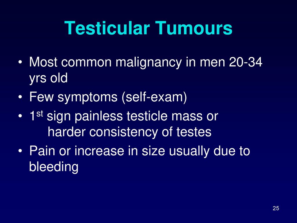 Male Genital System Dr Mahmood Nazar M B Ch B Msc Path Ppt Download