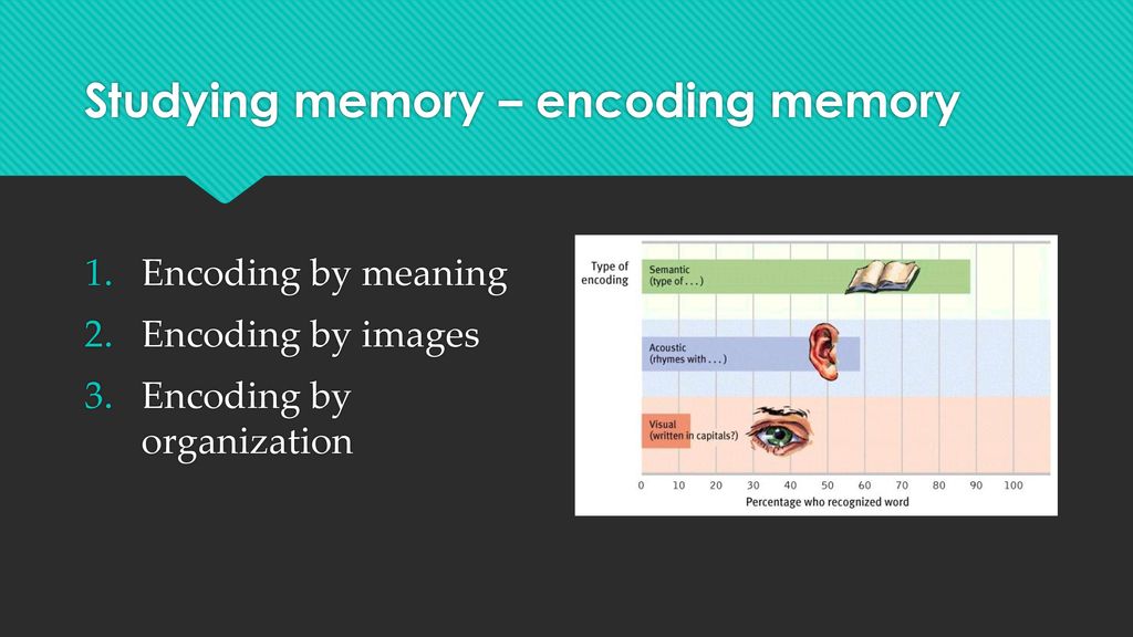 Memory Chapter Ppt Download