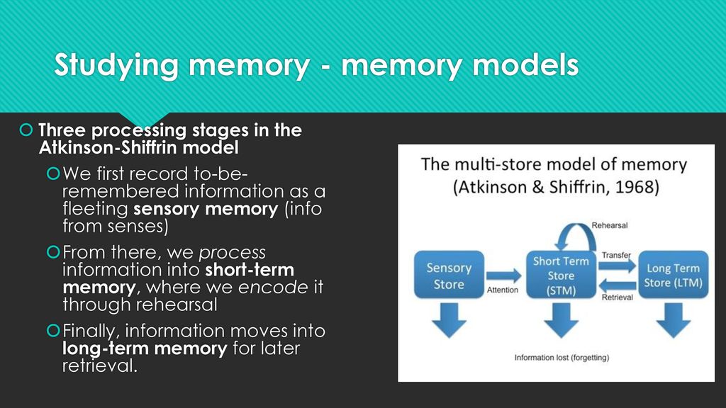 Memory Chapter Ppt Download