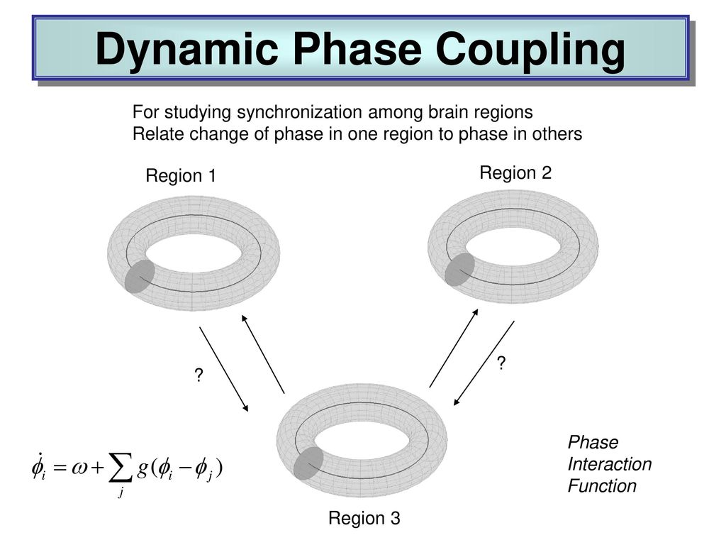 Dynamic Phase Coupling Ppt Download