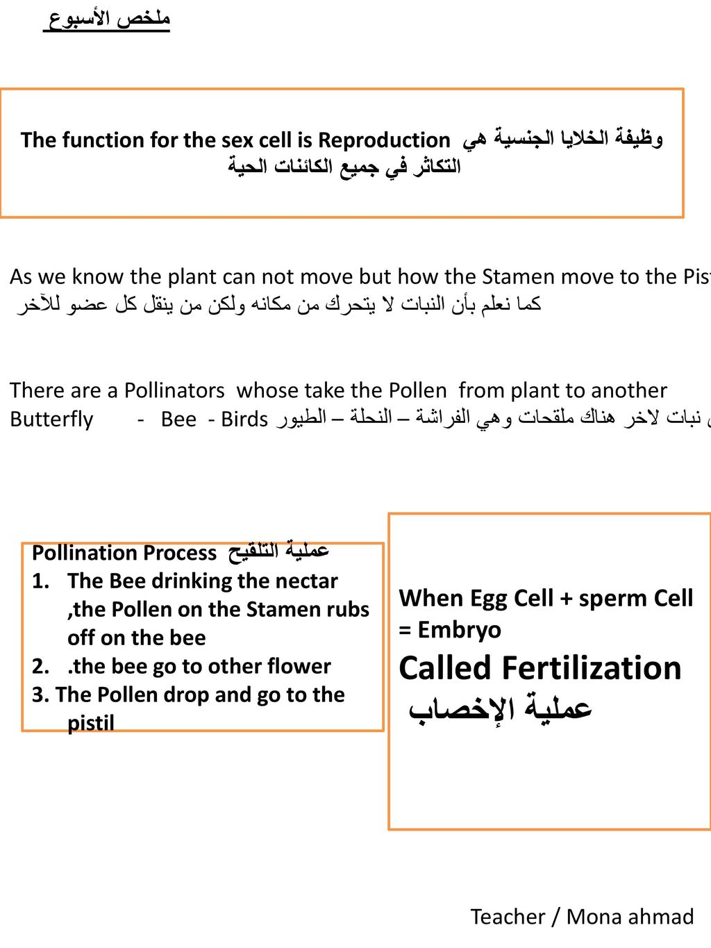 Home Work Color Cut And Name The Tools Ppt Download
