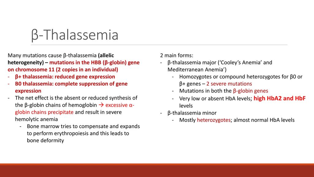 Genetics Ppt Download