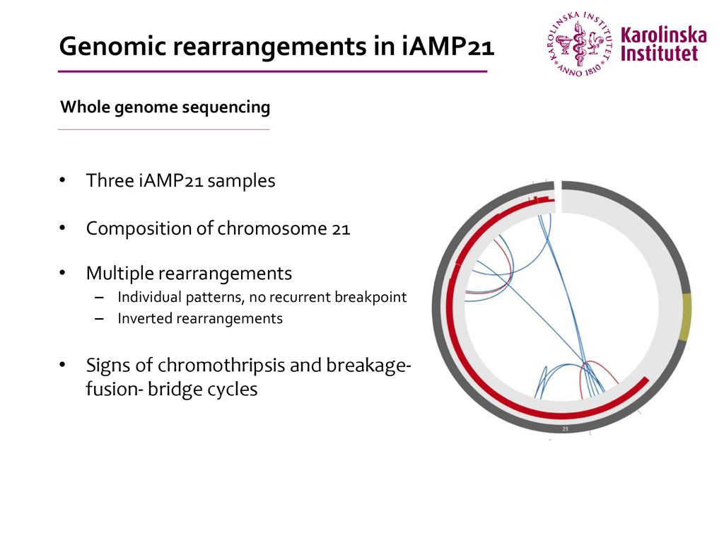 Ingegerd Ivanov Öfverholm Md Phd Ppt Download