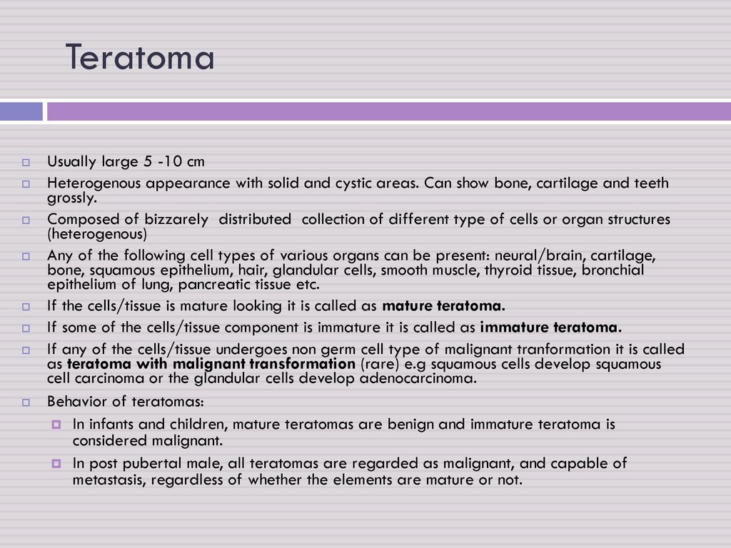 Testicular Pathology Sufia Husain Pathology Department Ksu Riyadh