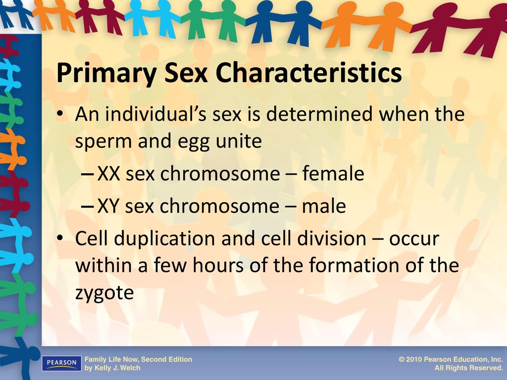 Chapter 4 Gender In Todays Society Ppt Download