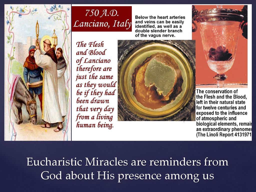 The Liturgy Explained The Real Presence In The Eucharist Ppt Download