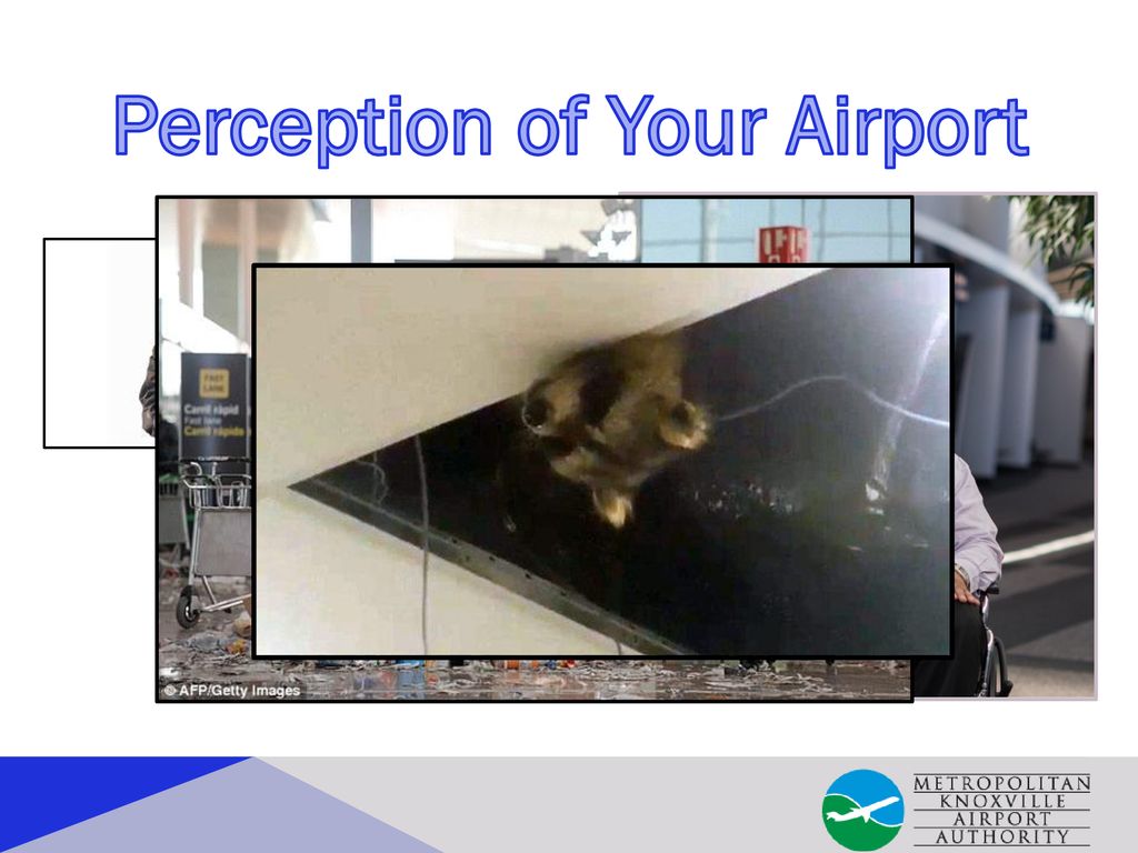 Customer Service Whos Responsible Ppt Download