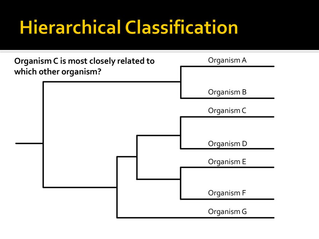 Biology Eoc 10 Day Review Ppt Download