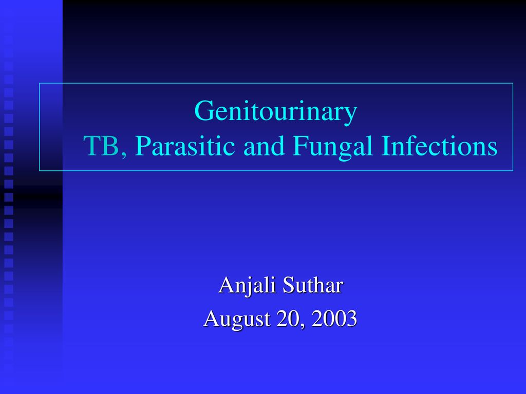 Genitourinary Tb Parasitic And Fungal Infections Ppt Download