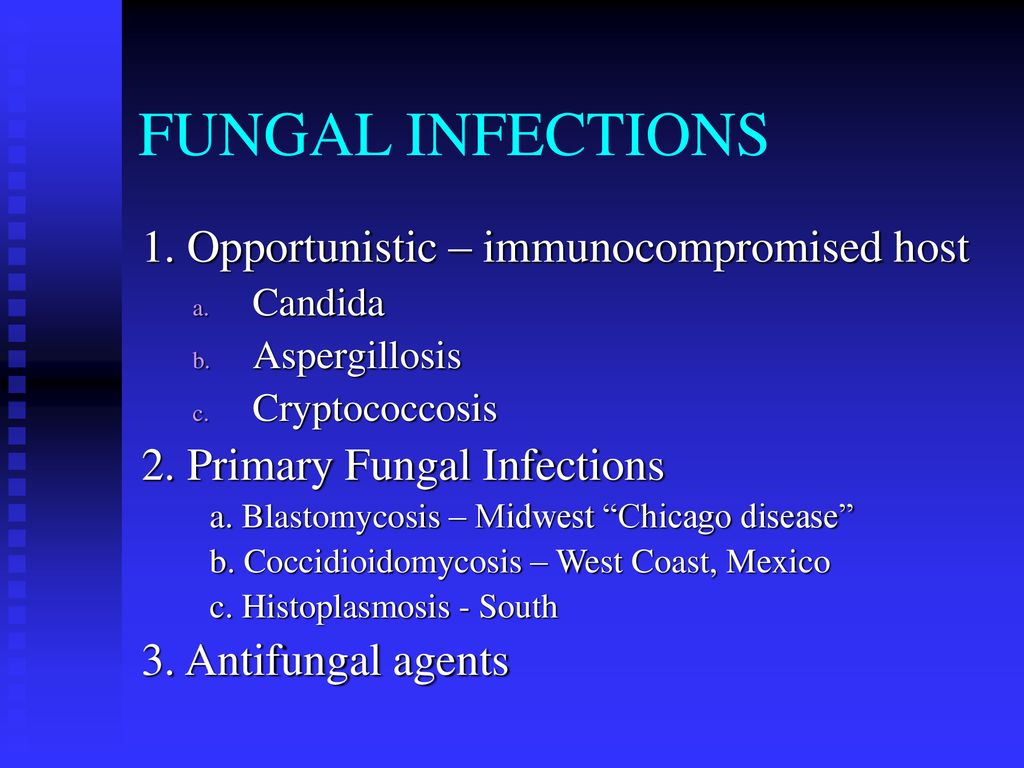 Genitourinary Tb Parasitic And Fungal Infections Ppt Download