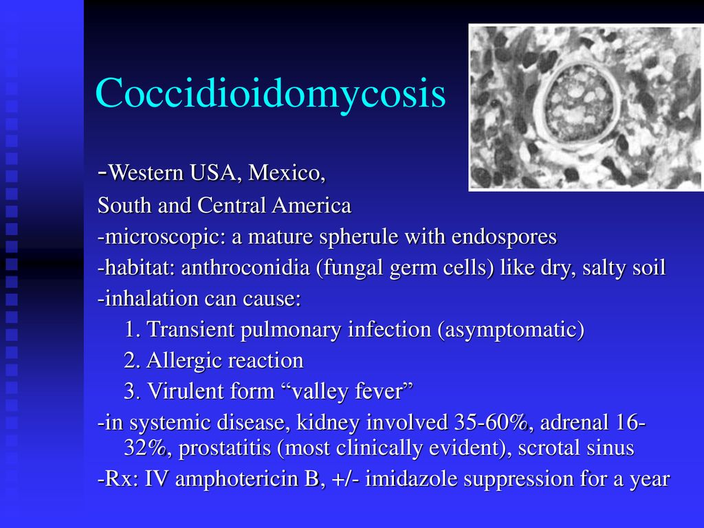 Genitourinary Tb Parasitic And Fungal Infections Ppt Download