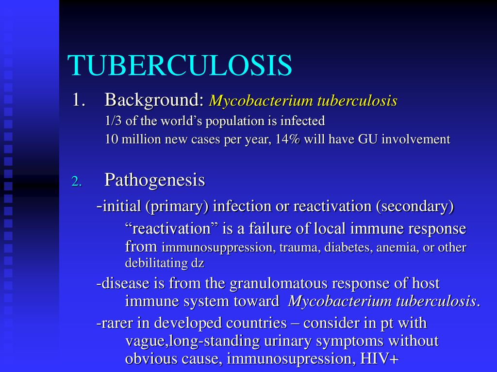 Genitourinary Tb Parasitic And Fungal Infections Ppt Download