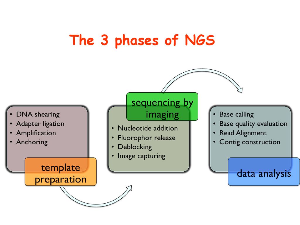 Introduction To Ngs Ppt Download
