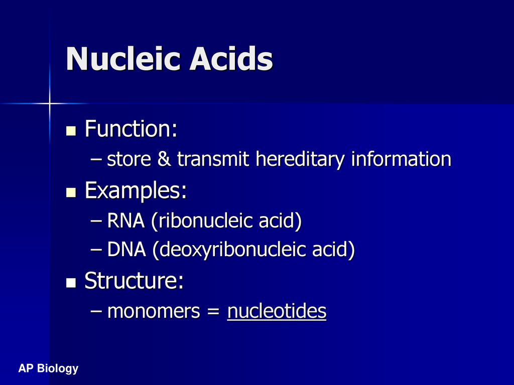 Nucleic Acids Function Examples Structure Ppt Download