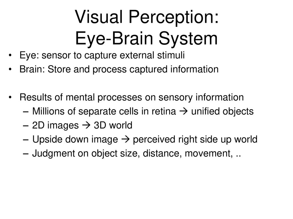 Visual Perception. - ppt download