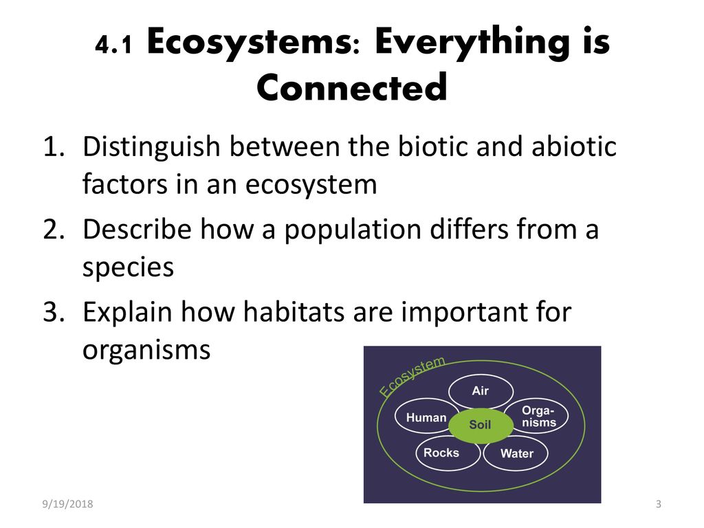 Chapter 4 The Organization of Life - ppt download Chapter 4 The Organization of Life - ppt download