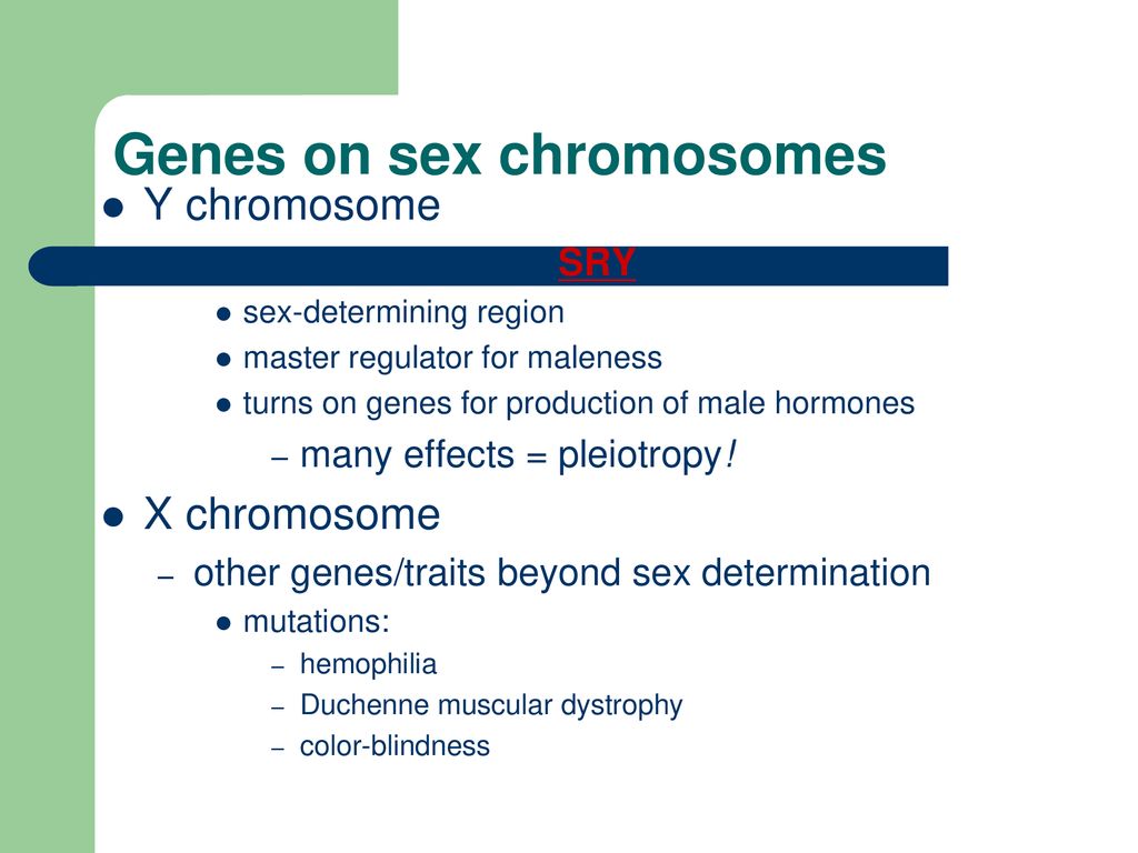 Chapter 15~ The Chromosomal Basis Of Inheritance Ppt Download