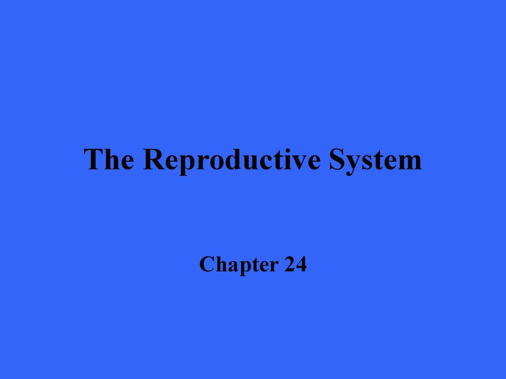 The Reproductive System Ppt Download