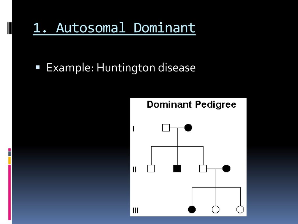 Pedigree Analysis Part 1 Autosomal Traits Ppt Download