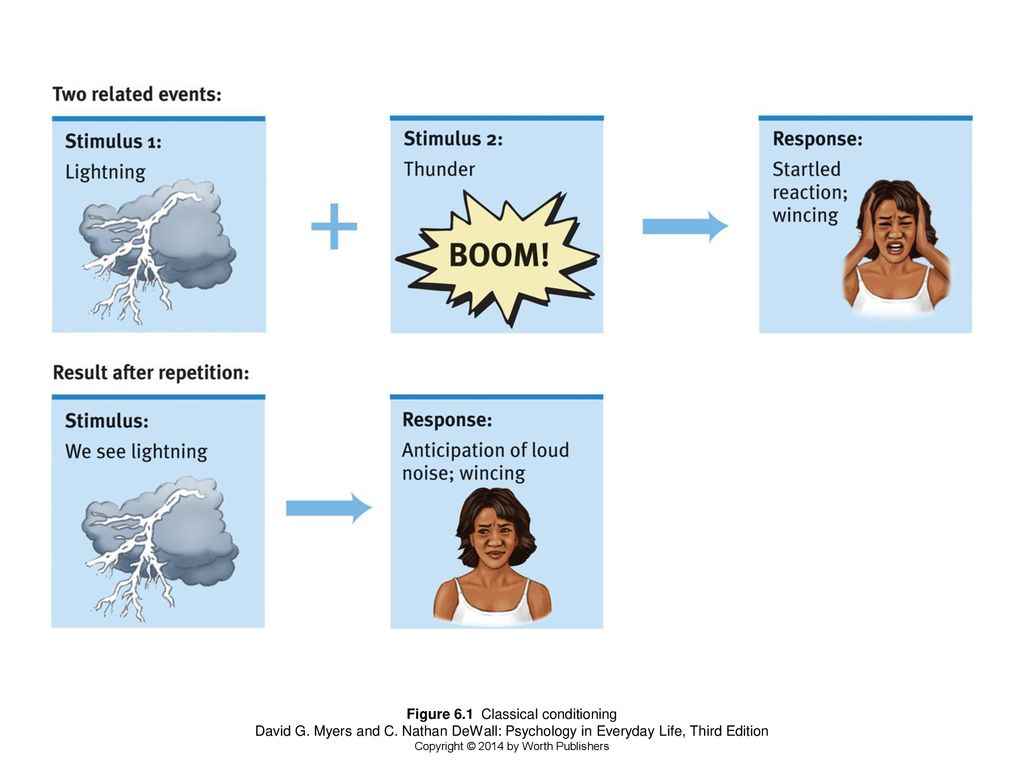 Classical Conditioning Examples In Everyday Life Classical Conditioning Examples In Everyday Life