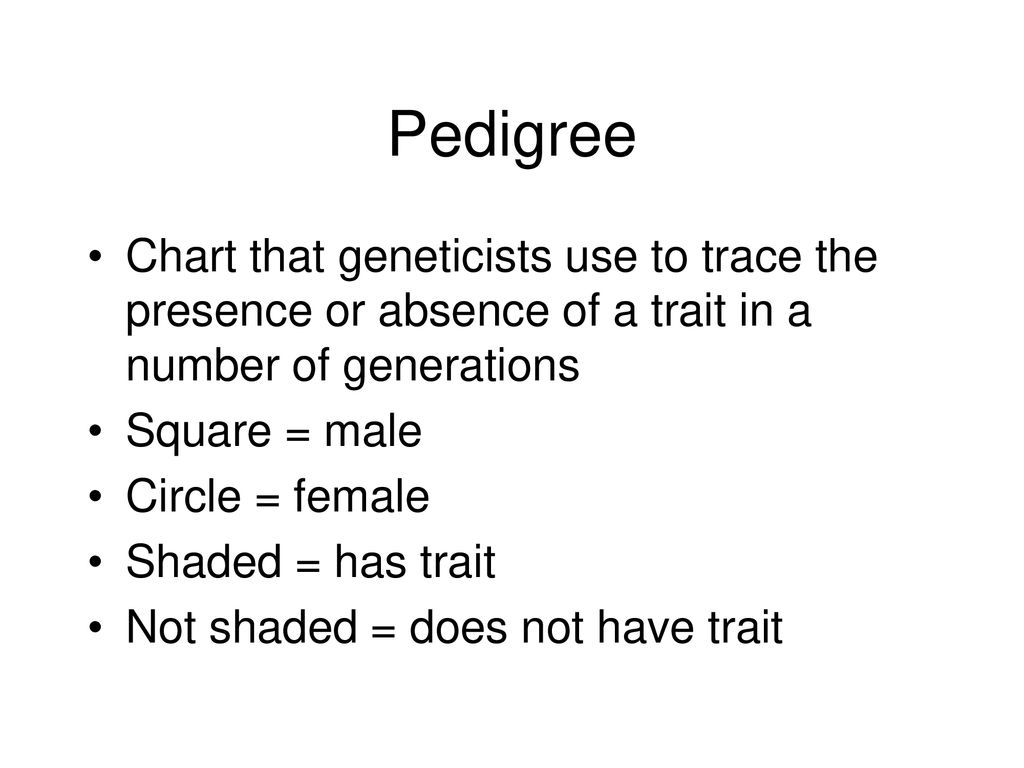 Dominant Traits Recessive Traits Freckles No Freckles Widows Peak