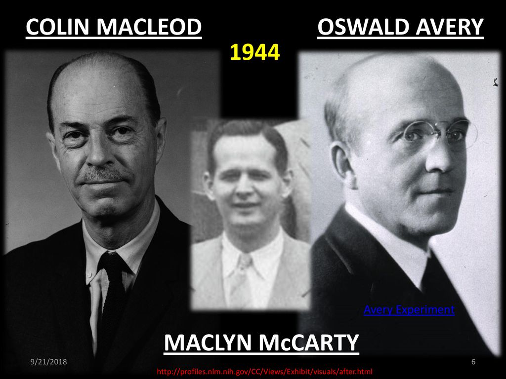 Oswald Avery Colin Macleod And Maclyn Mccarty Oswald Theodore Avery ... Oswald Avery Colin Macleod And Maclyn Mccarty Oswald Theodore Avery ...