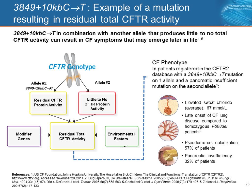 Key Points Normal Cystic Fibrosis Transmembrane Conductance Regulator