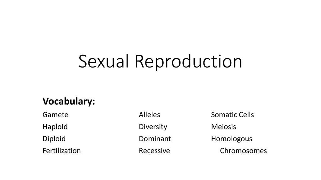 Sexual Reproduction Vocabulary Gamete Alleles Somatic Cells Ppt Download