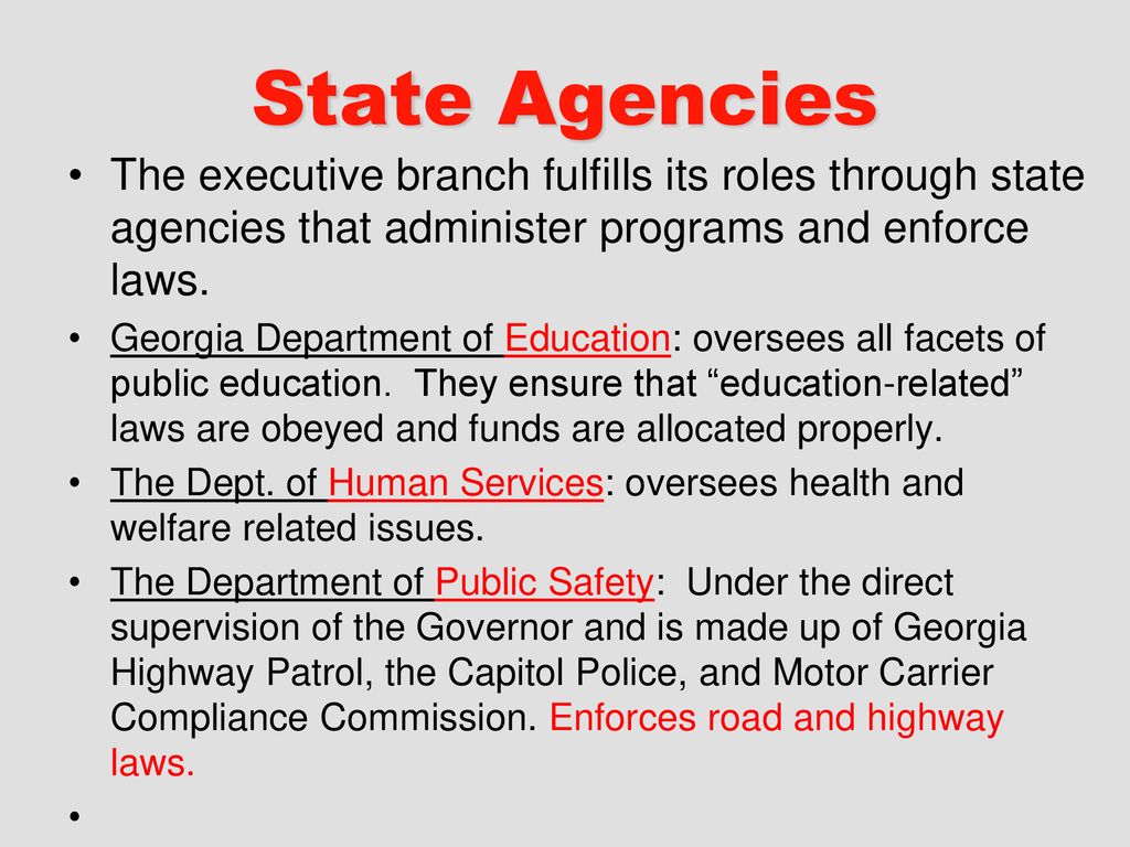 Georgias Legislative And Executivebranches Of Government Ppt Download
