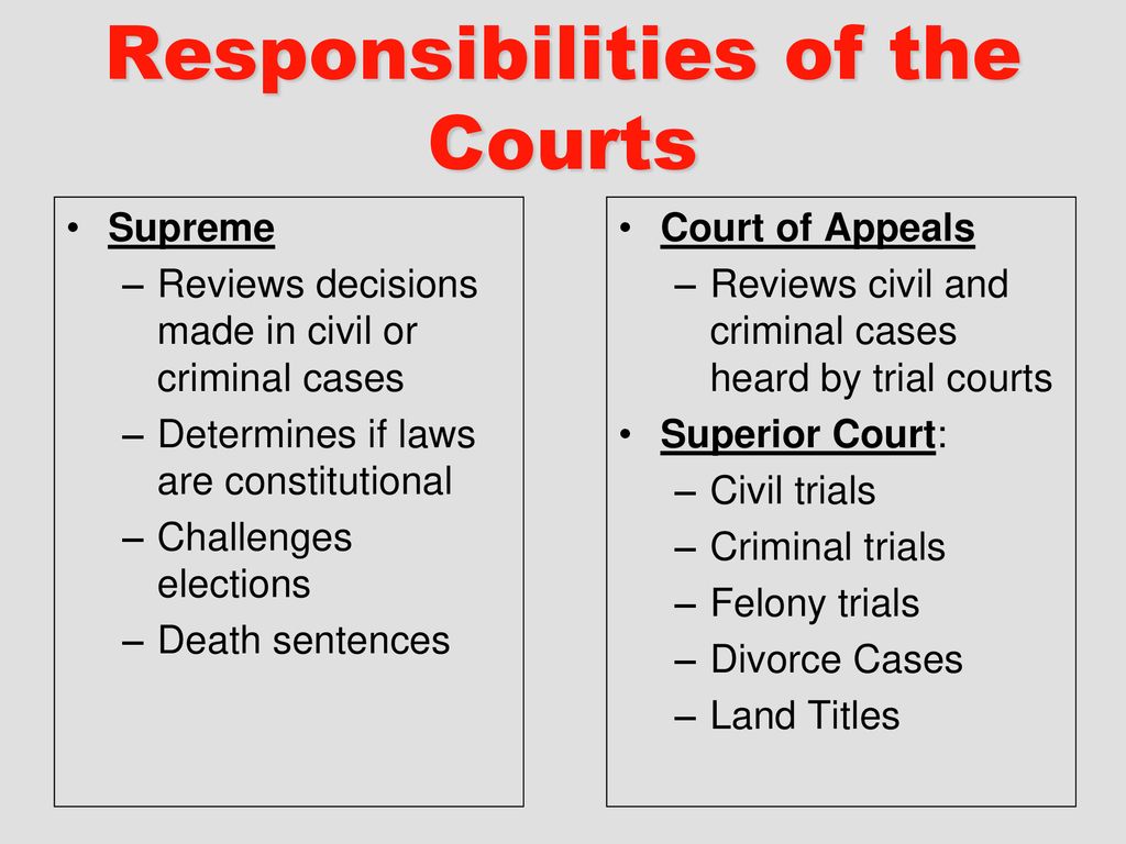 Georgias Legislative And Executivebranches Of Government Ppt Download