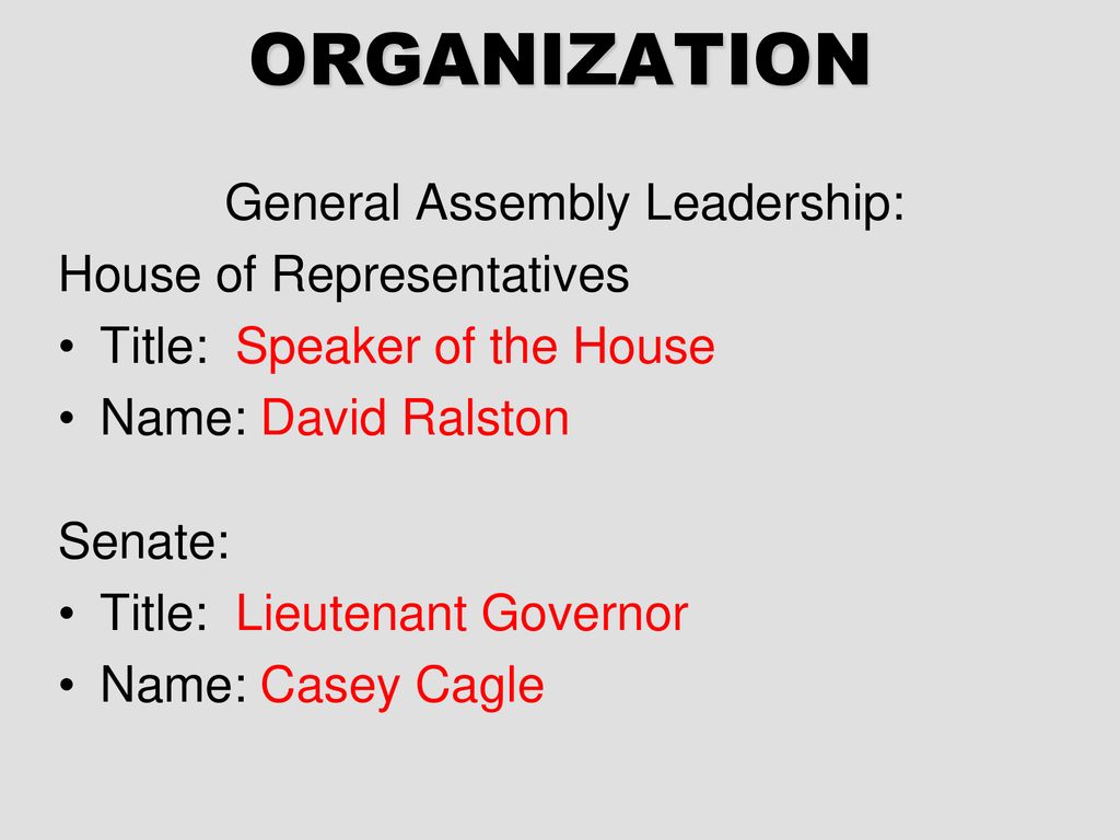 Georgias Legislative And Executivebranches Of Government Ppt Download