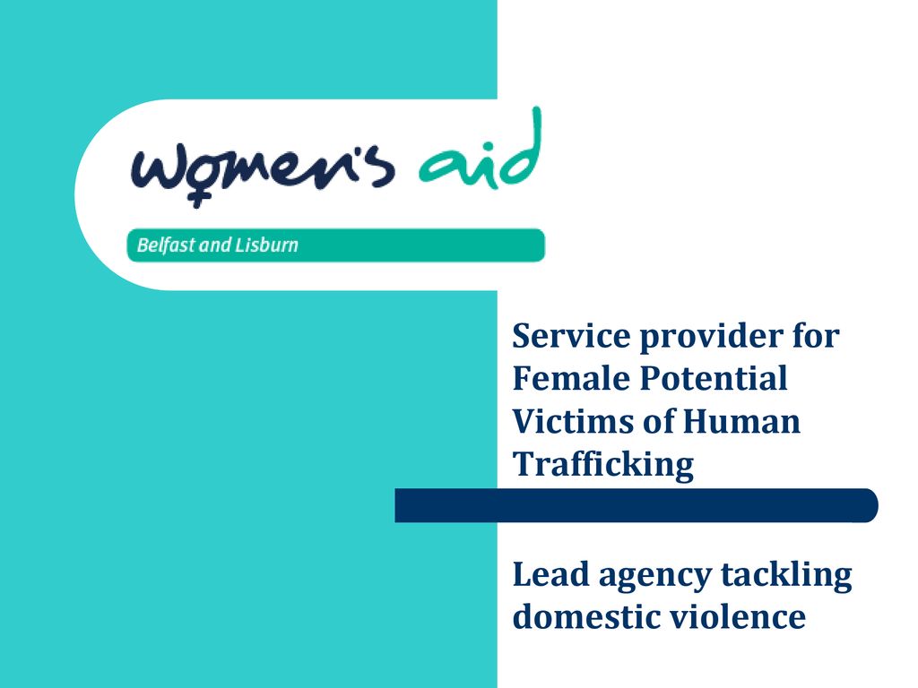 Lead Agency Tackling Domestic Violence Ppt Download